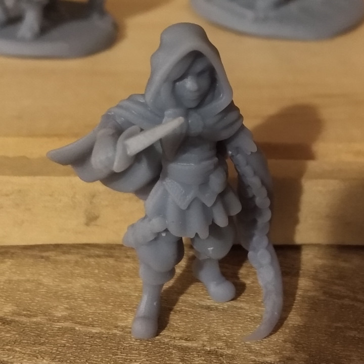 3D Print of Annalissa, Human Arcane Trickster by Romsteck