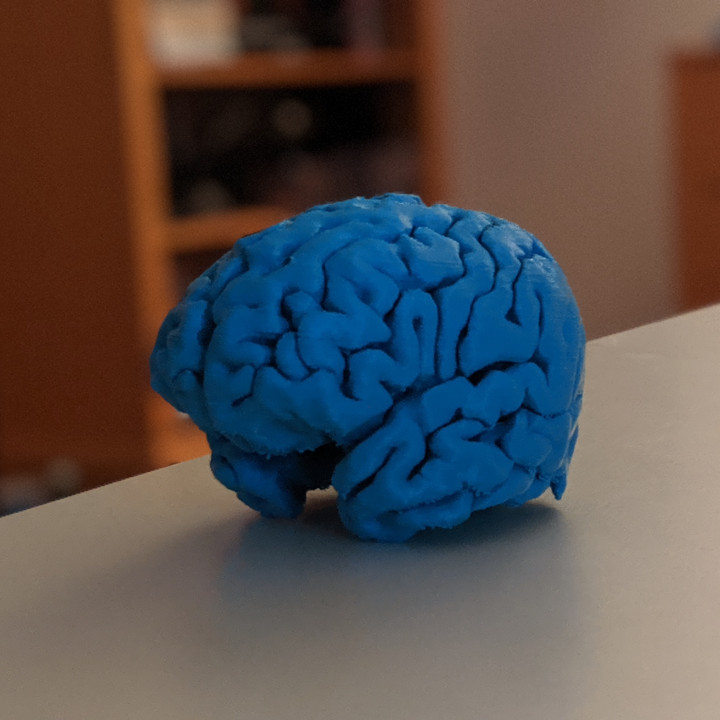 3D Printable How to 3D print Your Brain by Max Siebenschlaefer