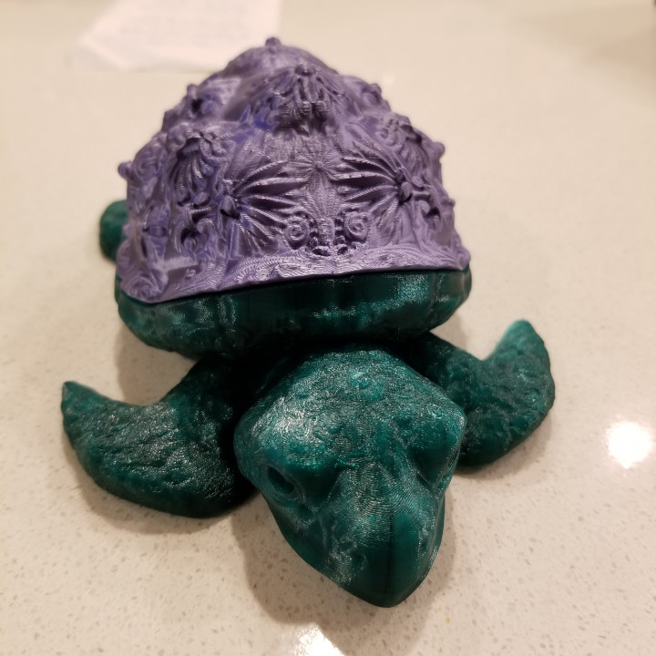 3D Print of Fancy Turtle Box by ericbeamish