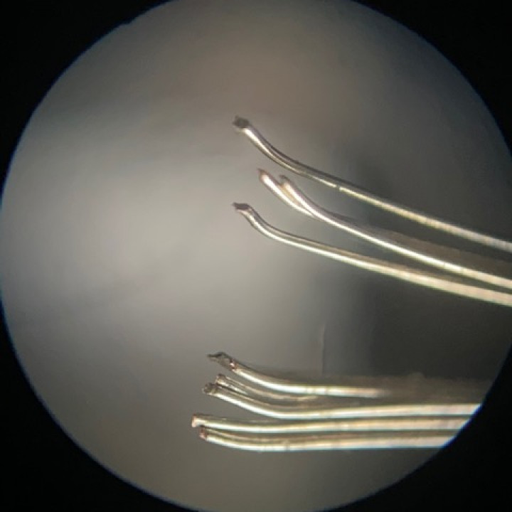 3D Printable Iphone 11 Microscope Mount by Bob