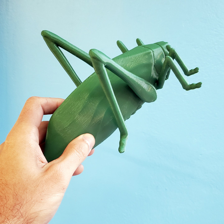 3D Printable Esperanza (genus) insect by Vicente Gasco