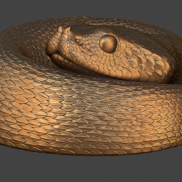 3D Printable Gaboon Viper Hatchling by Steven Pfaff