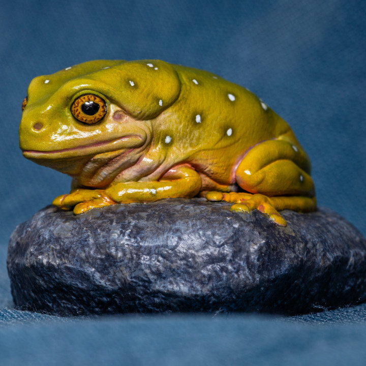 3D Printable Chilling Frog by Steven Pfaff