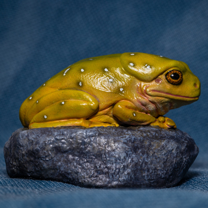3D Printable Chilling Frog by Steven Pfaff