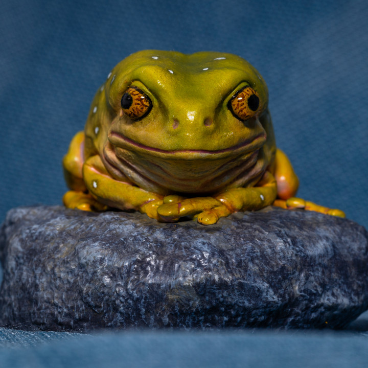 3D Printable Chilling Frog by Steven Pfaff