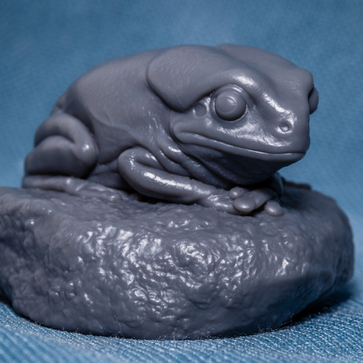 3D Printable Chilling Frog by Steven Pfaff
