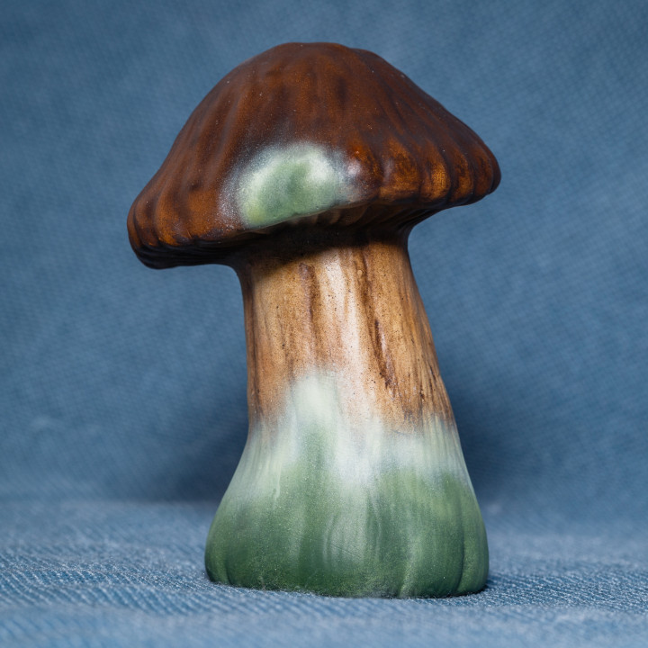 3D Printable Grumpy Mushroom by Steven Pfaff
