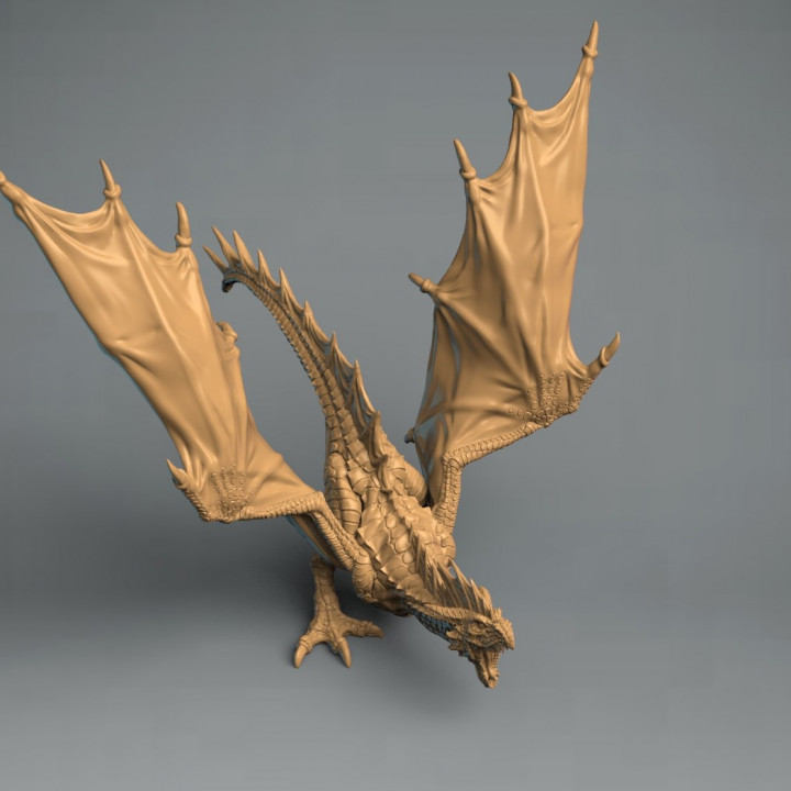 3D Printable Wild wyvern by Herospawnspot