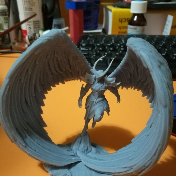3D Print of Angel fighter by federicogrigolini