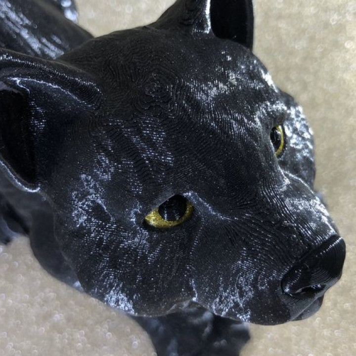 3D Printable Wolfie! Multi material Wolf cub model by Louise Driggers
