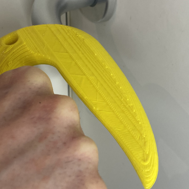 3D Printable Toucan savegrabber by Mirco Rottermaier