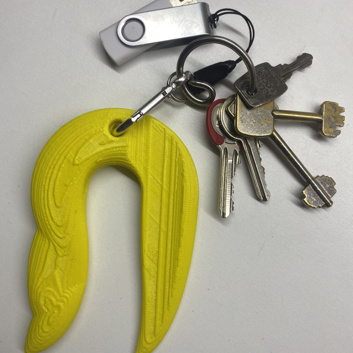 3D Printable Toucan savegrabber by Mirco Rottermaier