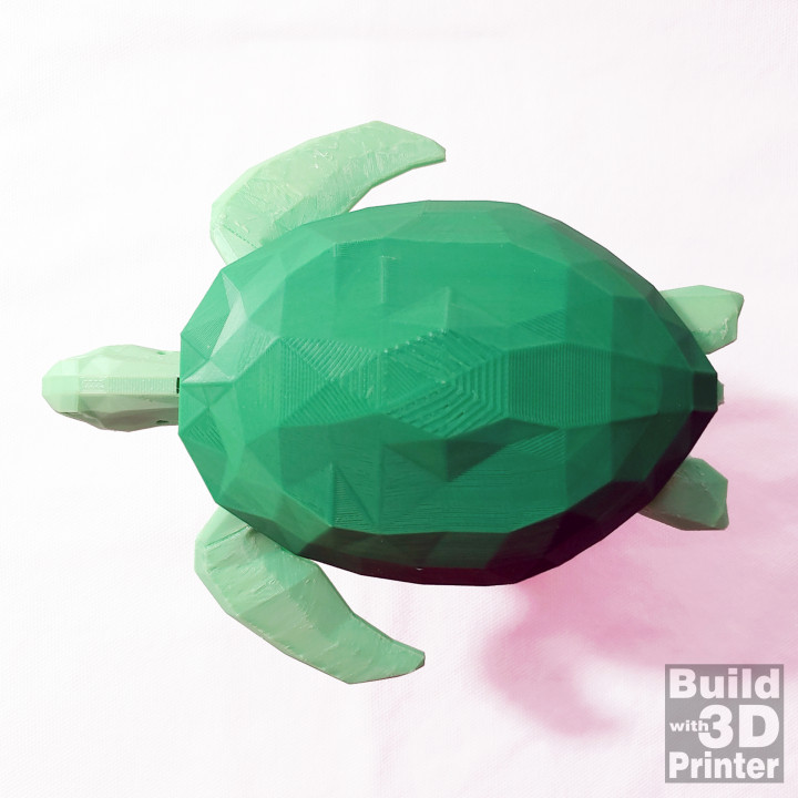 3D Printable Save the Sea Turtles by JWoong