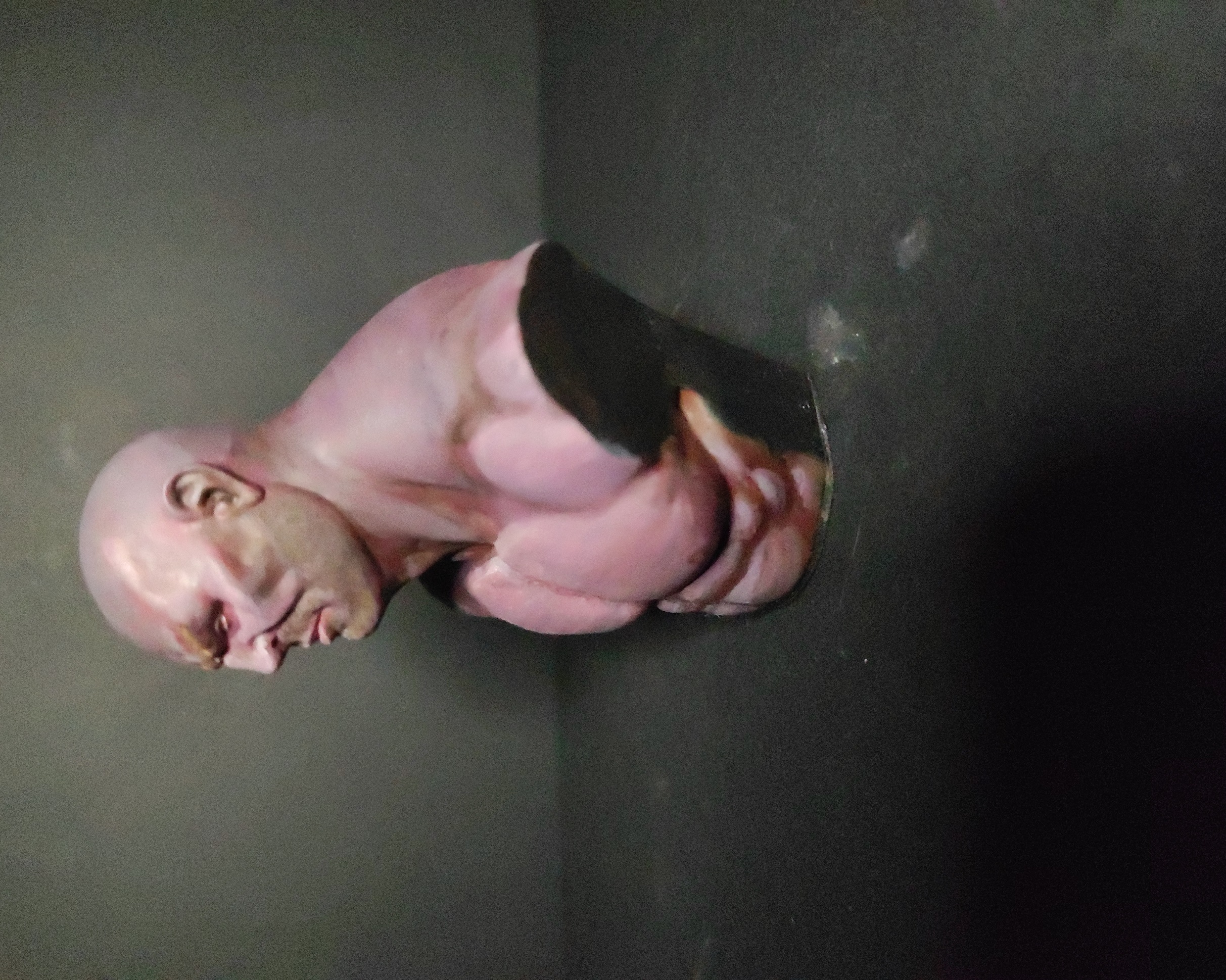 3D Printable Academic Bust- Human Brute by Leonardo Escovar