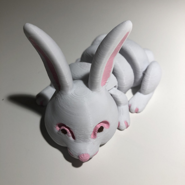 3D Print of Articulated Bunny by daveparkstore@gmail.com