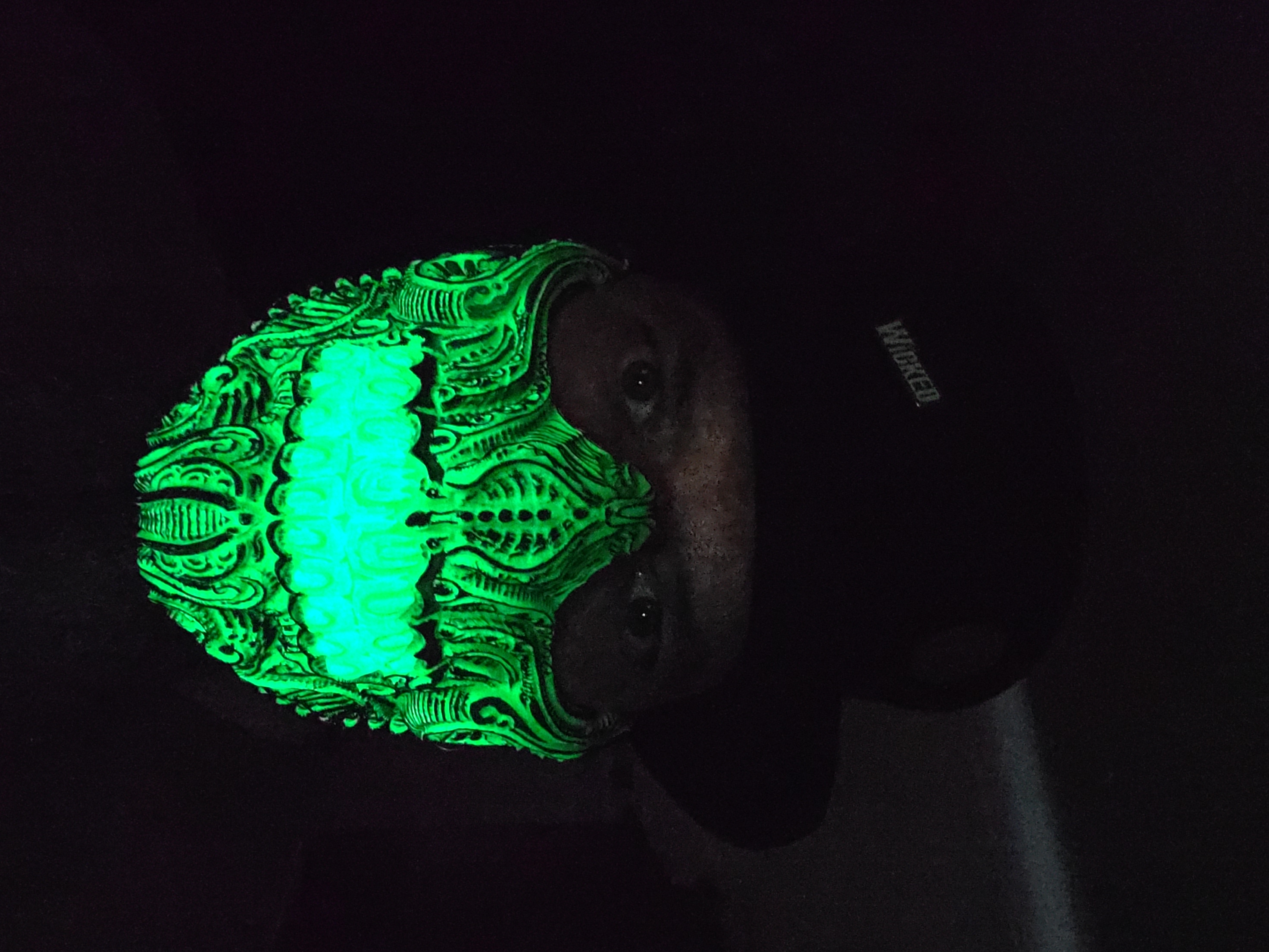 3D Printable Biomechanical skull mask by Zane Rogers