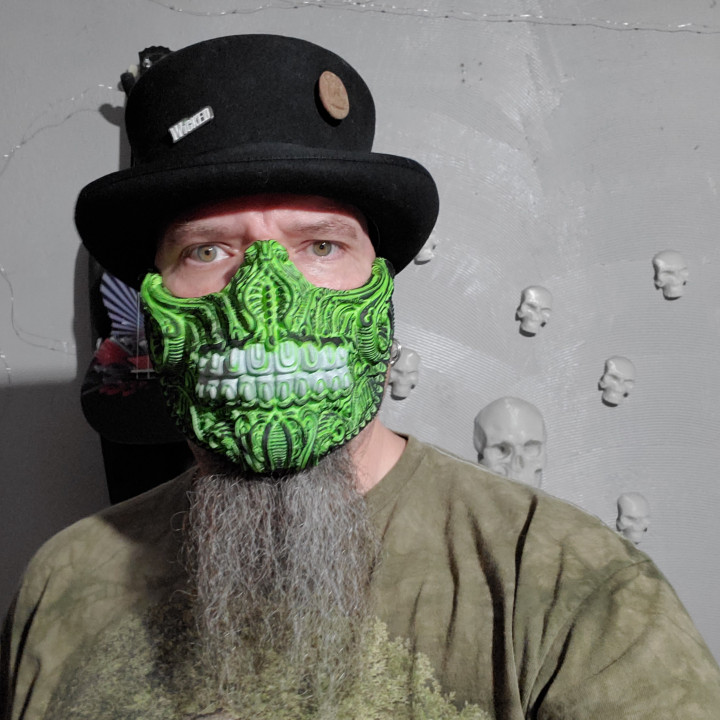 3D Print of Biomechanical skull mask by Wolfgore