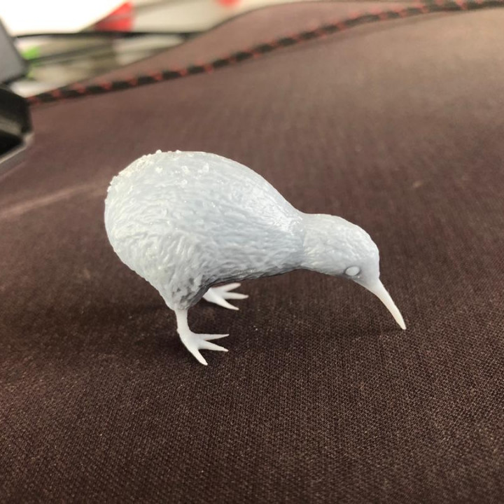 3D Printable Kiwi! by Ryan Khoo