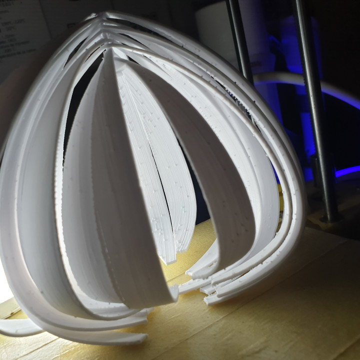 3D Printable EggShell Adjustable deco lamp by Renee Taylor