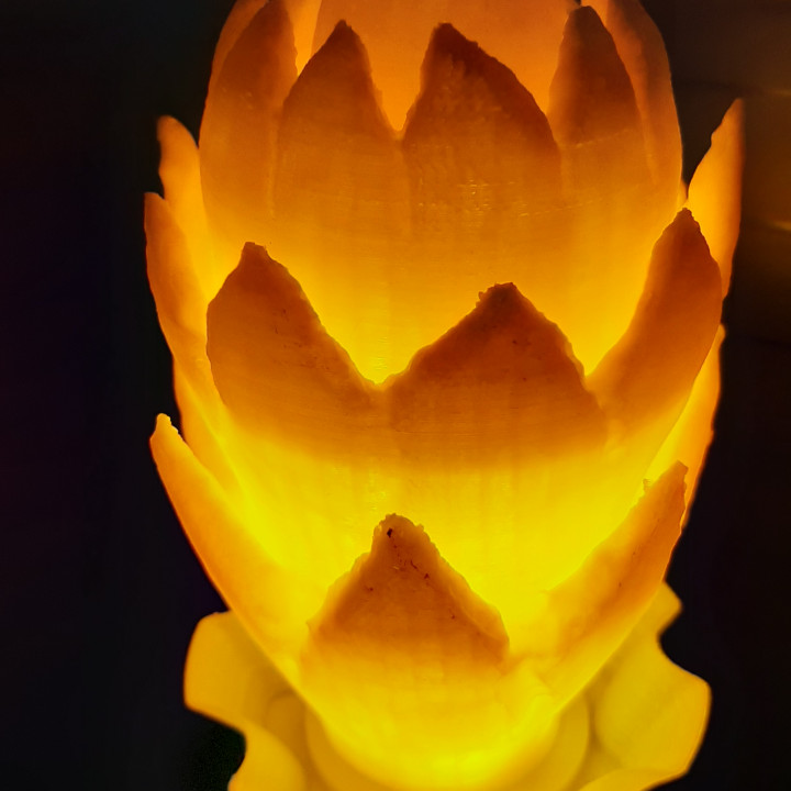 3D Printable Vase and a Flower Mood Lamp by Boris Topalov