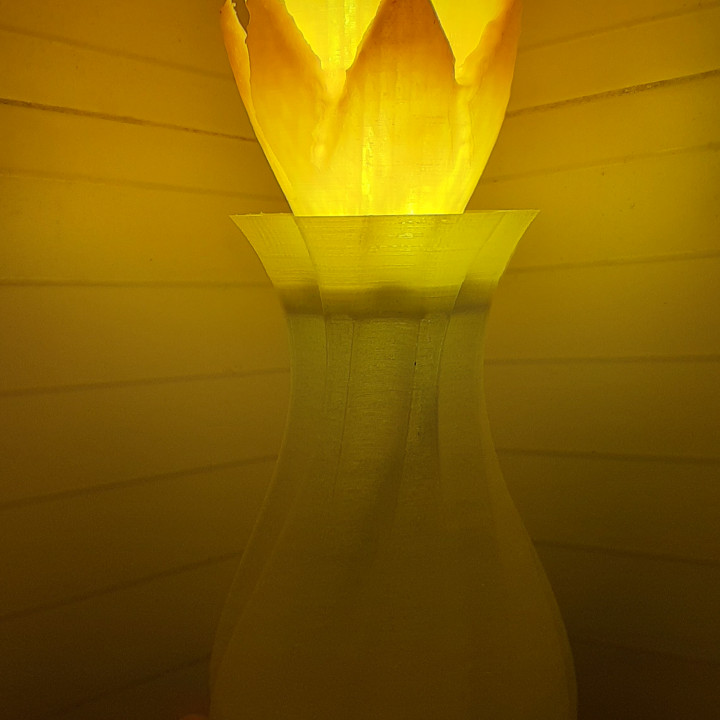 3D Printable Vase and a Flower Mood Lamp by Boris Topalov
