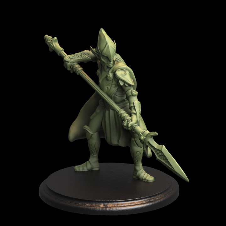 3D Printable Elven Spearman/Glaive by TytanTroll Miniatures
