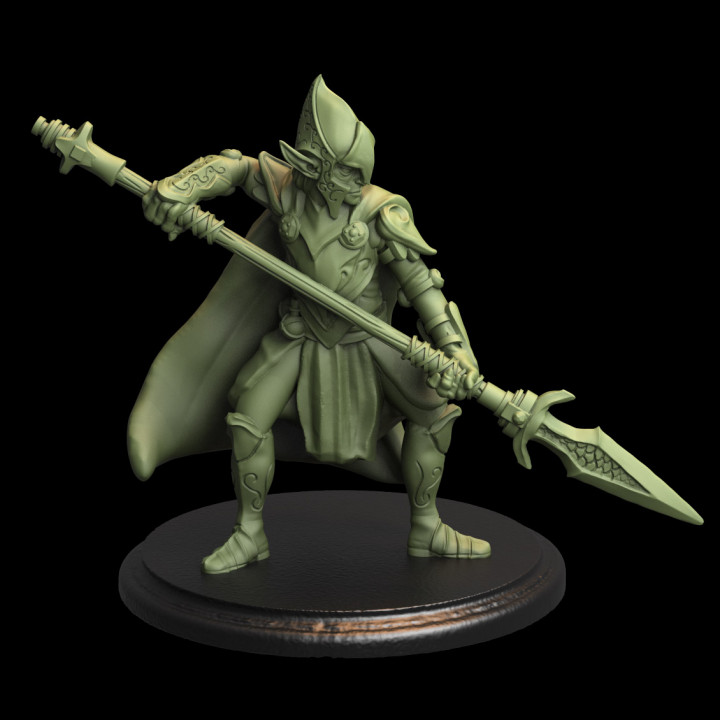 3D Printable Elven Spearman/Glaive by TytanTroll Miniatures