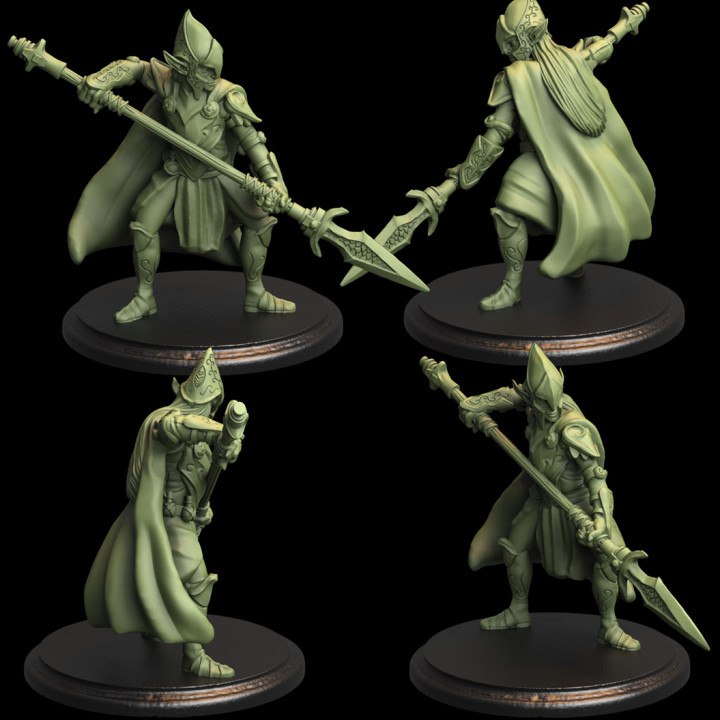 3D Printable Elven Spearman/Glaive by TytanTroll Miniatures