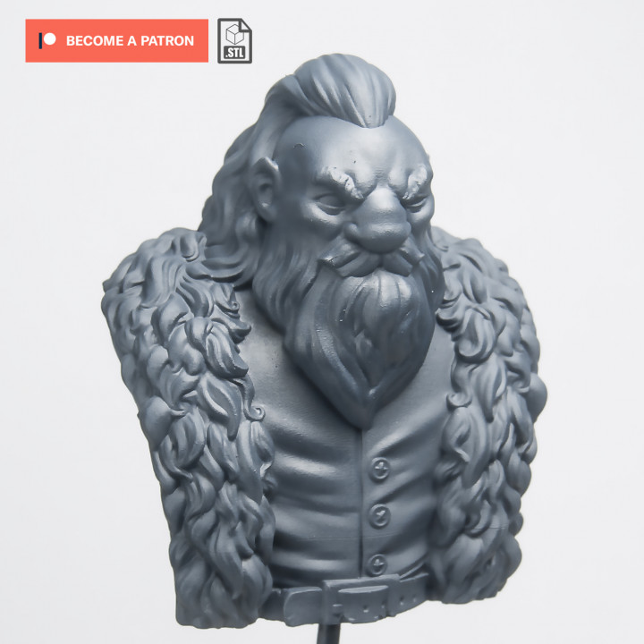3D Printable Adventurer Dwarf bust by Leonardo Escovar