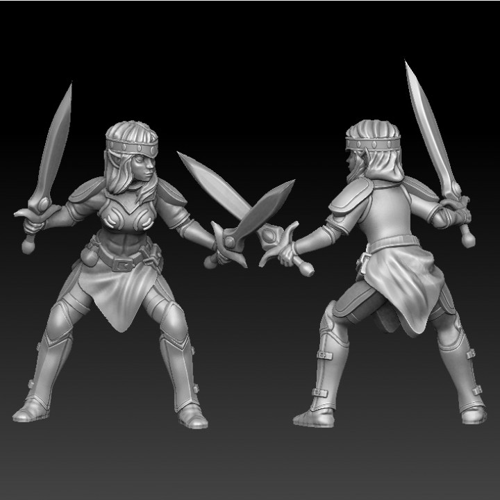 3D Printable female elf with dual sword by Stanislav Kuznetsov