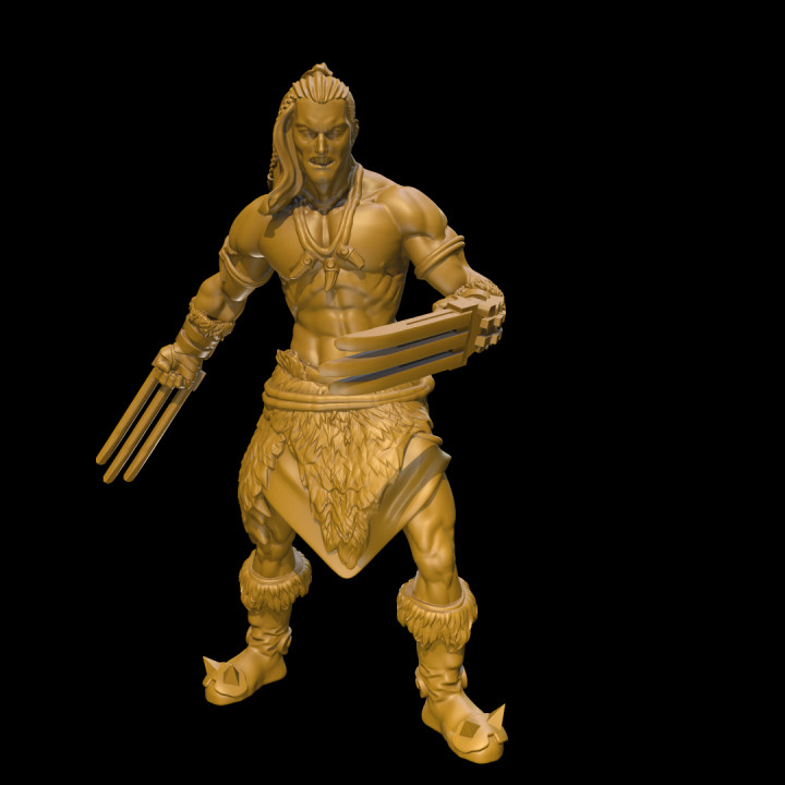 3D Printable Gypsy Brawler customizable by Jeremy Smith