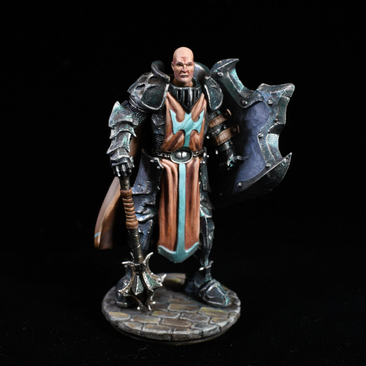 3D Print of HERO PALADIN by brodikjeanfuret