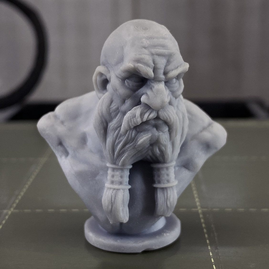 3D Print of Dwarf Bust by steve220