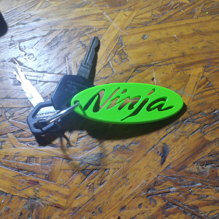 3D Printable ninja keychain by jonas schutz