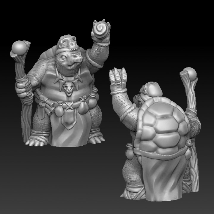 3D Printable Turtle shaman by Stanislav Kuznetsov
