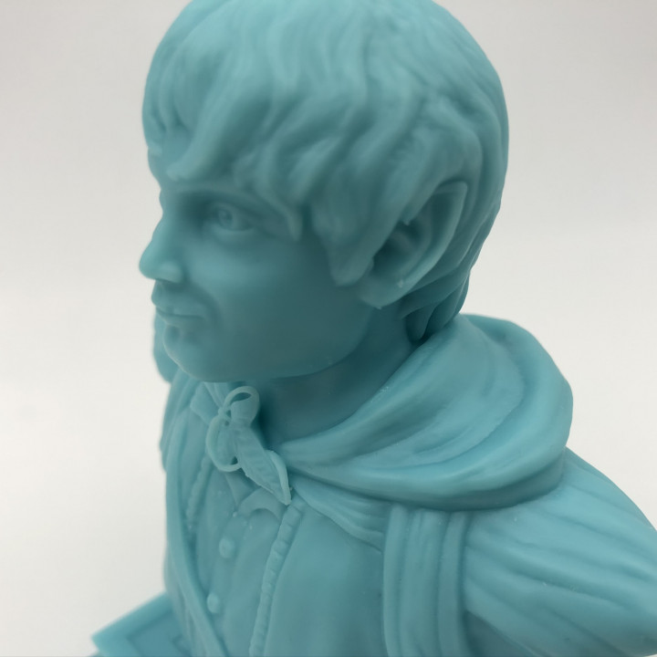 3D Printable Samwise The Brave by Ryan Khoo