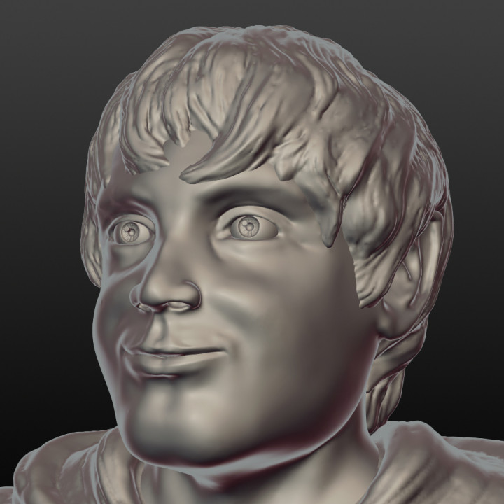 3D Printable Samwise The Brave by Ryan Khoo