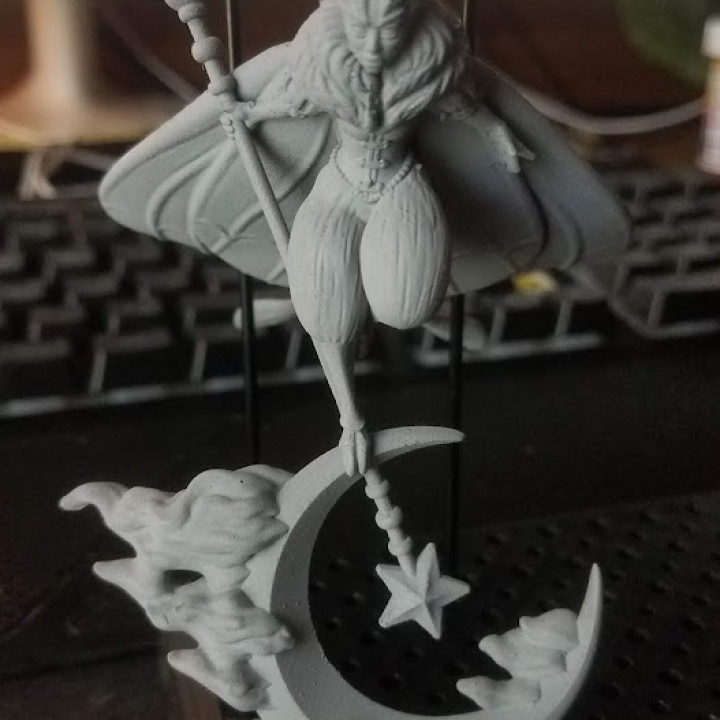 3D Print of Psychidae, Noctuoidea Moth Mage (Pre-Supported) by ...