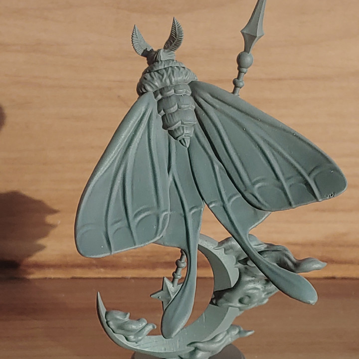 3D Printable Psychidae, Noctuoidea Moth Mage (Pre-Supported) by CobraMode