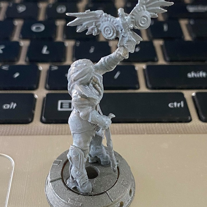 3D Printable CYBERPUNK SORCERESS CROW MISTRESS by PAPSIKELS MINIATURES