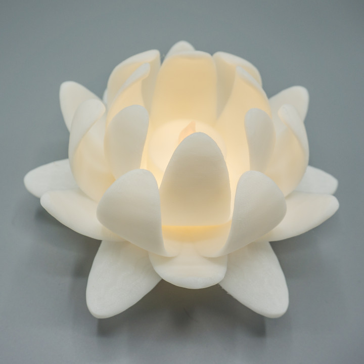 3D Printable Lotus Flower by Andrew Reynolds