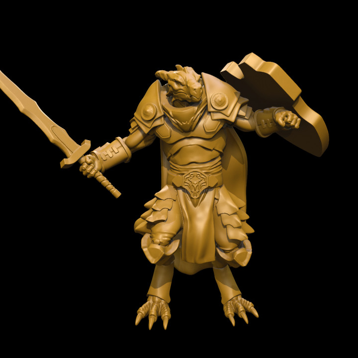 3D Printable Dragonborn Heavy Paladin by Jeremy Smith