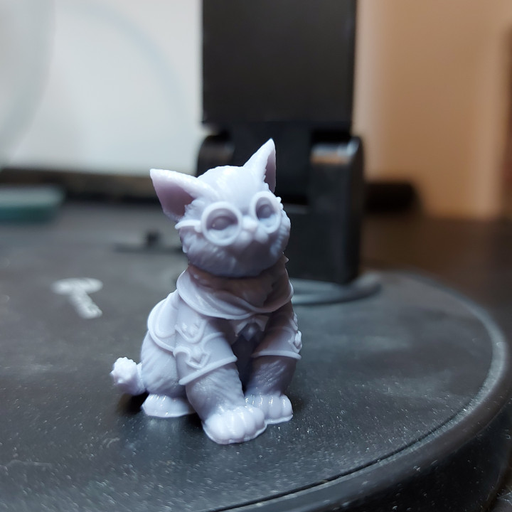 3D Print of Gaton - Big Cat - 32mm - DnD by marielorent