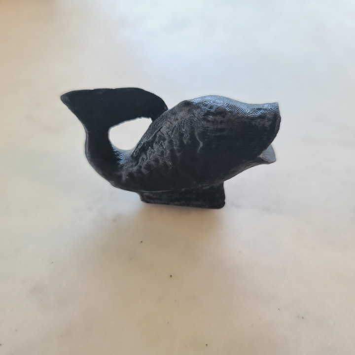 3D Printable Fish Model 3D Scan by Eli Smith