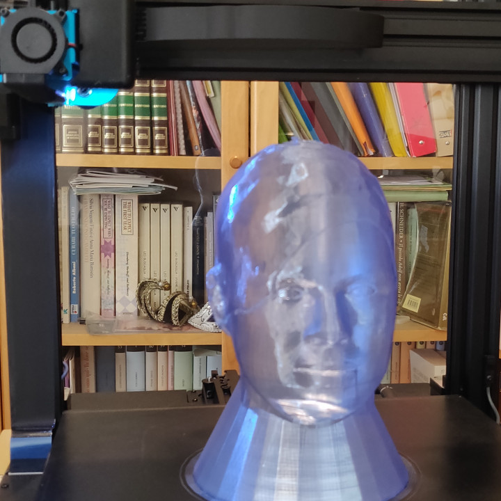 3D Printable Alan Turing Head by Giovanni De Gasperis