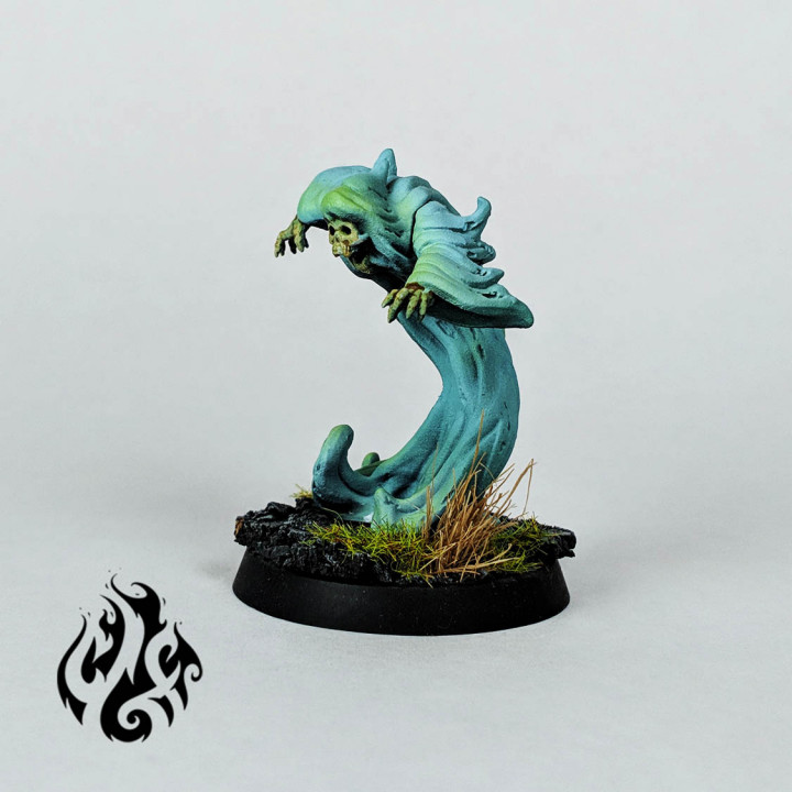 3D Printable Wraith by Crippled God Foundry