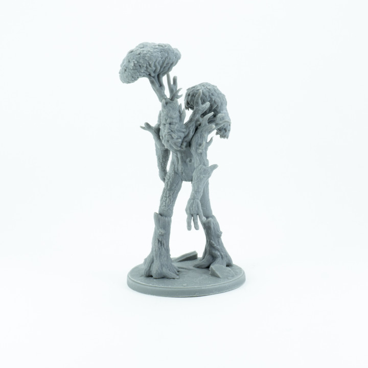3D Printable Ent by Crippled God Foundry