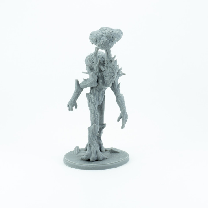 3D Printable Ent by Crippled God Foundry