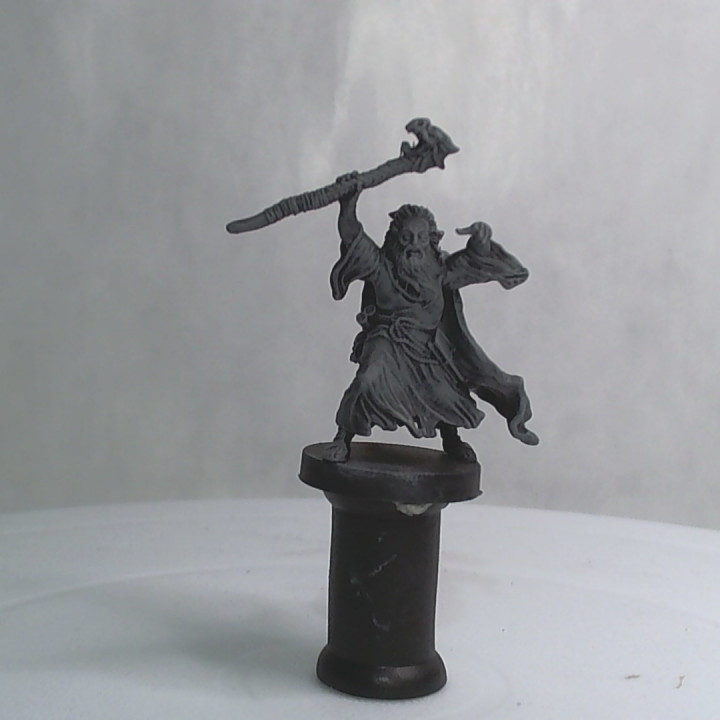 3D Print of Mad Wizard by vGormless