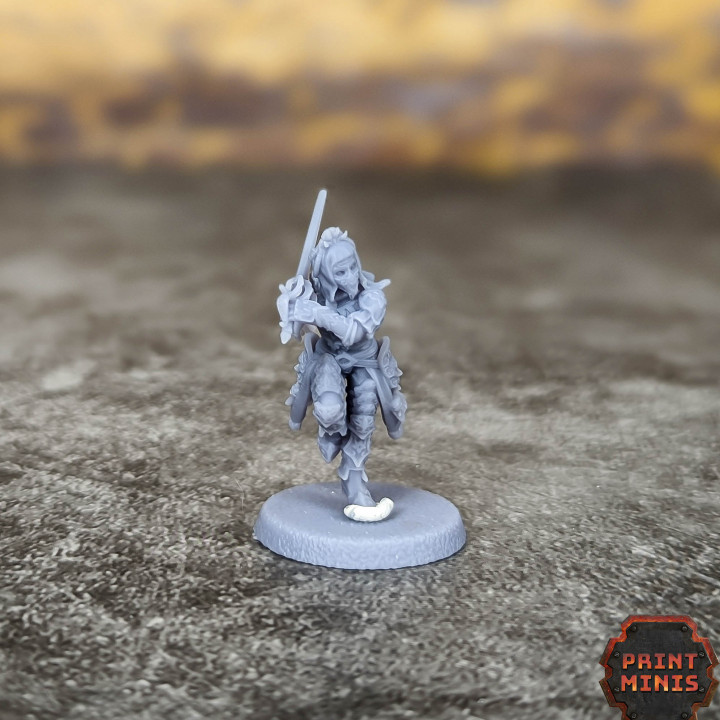 3D Printable Noble Bodyguard - House Arvesti by Print Minis